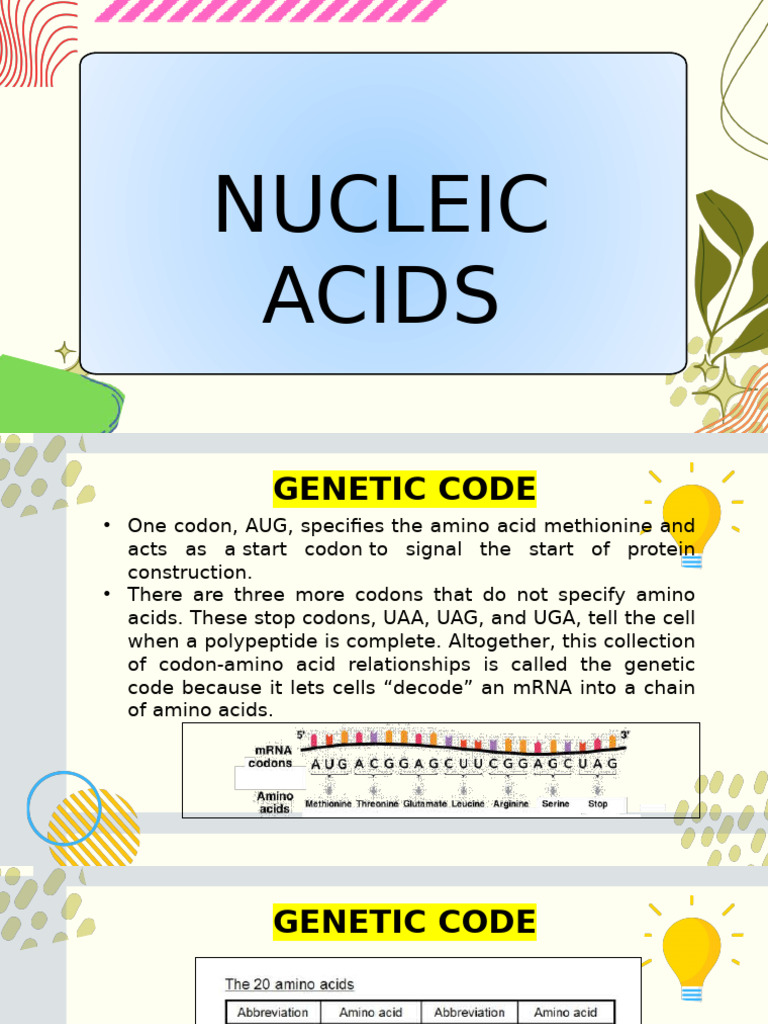 Nucleic Acids Cont | PDF | Translation (Biology) | Genetic Code