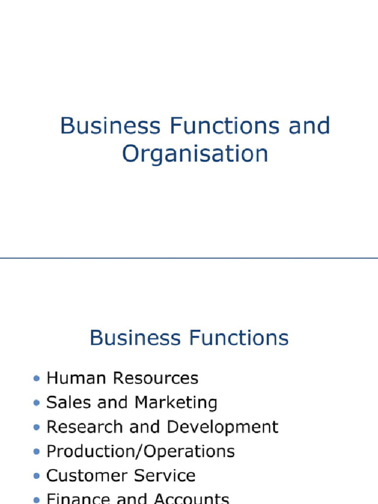 BME 1 Lesson 1 Functions With Business Organization | PDF