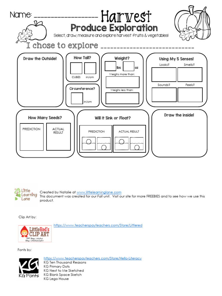 Produce Exploration Activity Sheet | PDF