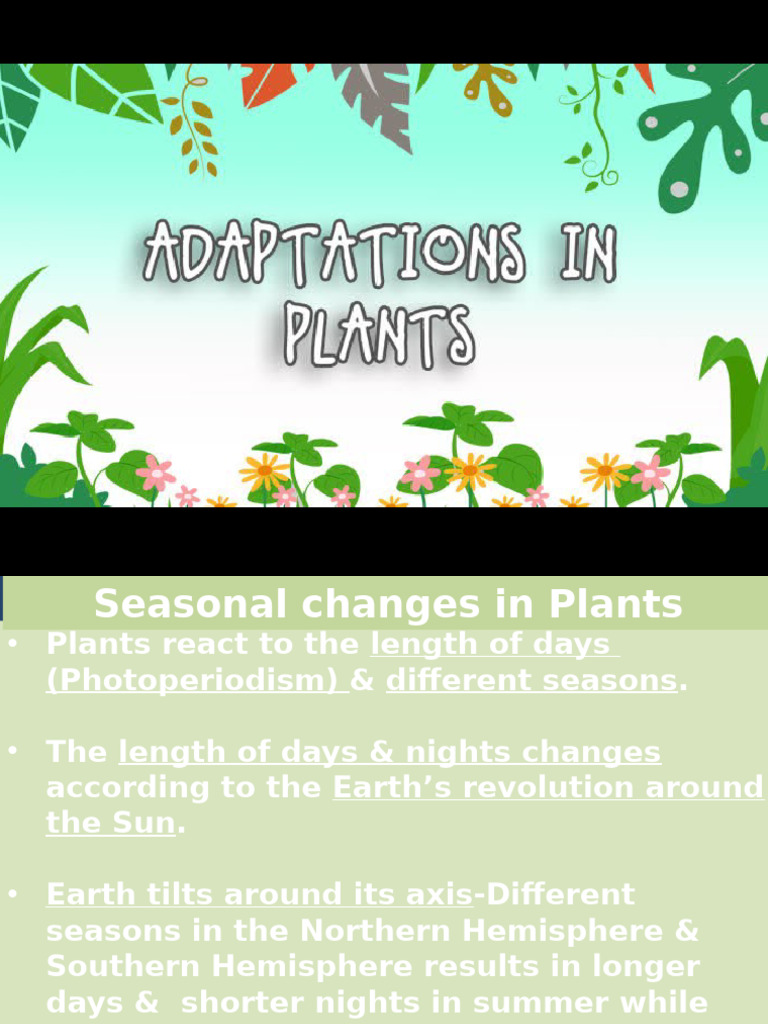 How Plants Are Adapted To Seasons | PDF