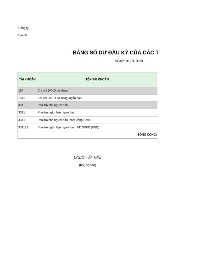 Mau Bang So Du Dau Ky Cua Cac Tai Khoan | PDF
