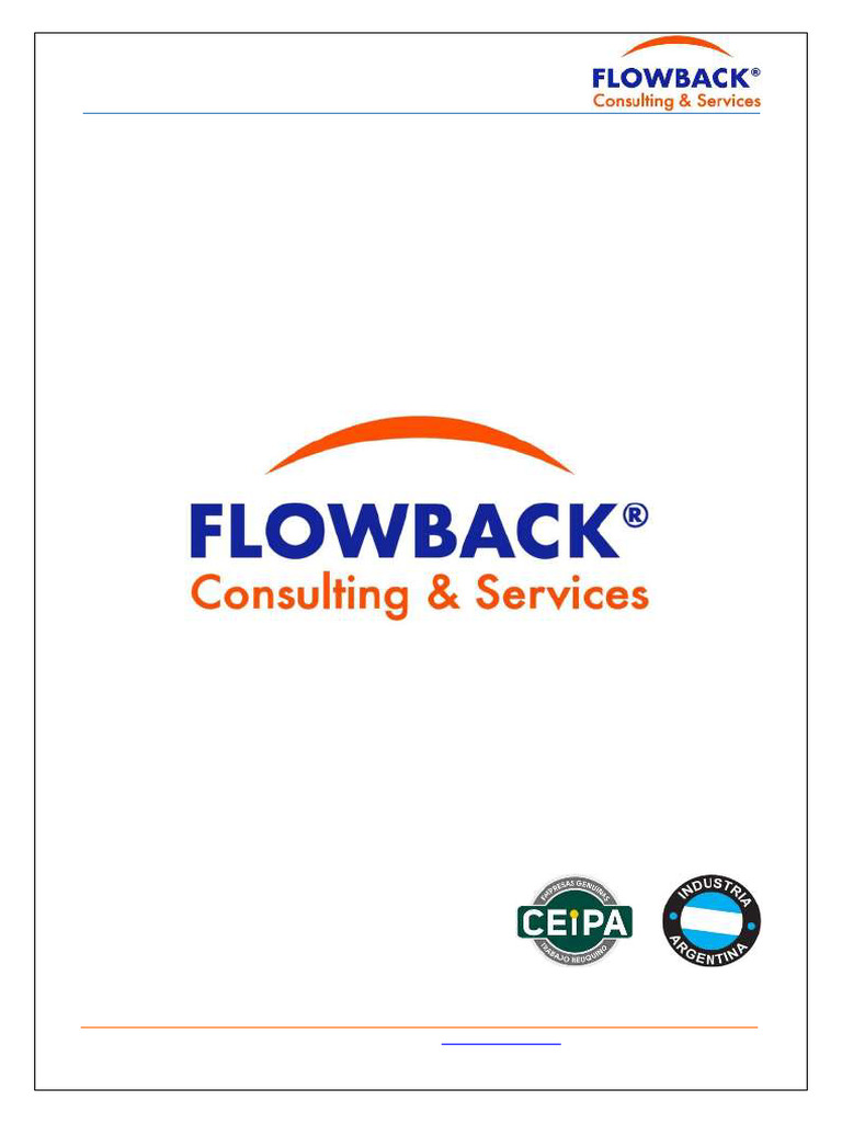 Servicios de Flowback en Neuquén | PDF | Bomba | Ingeniería mecánica