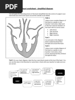 Heart Diagram Gcse Unlabelled Printable - Google Search | PDF