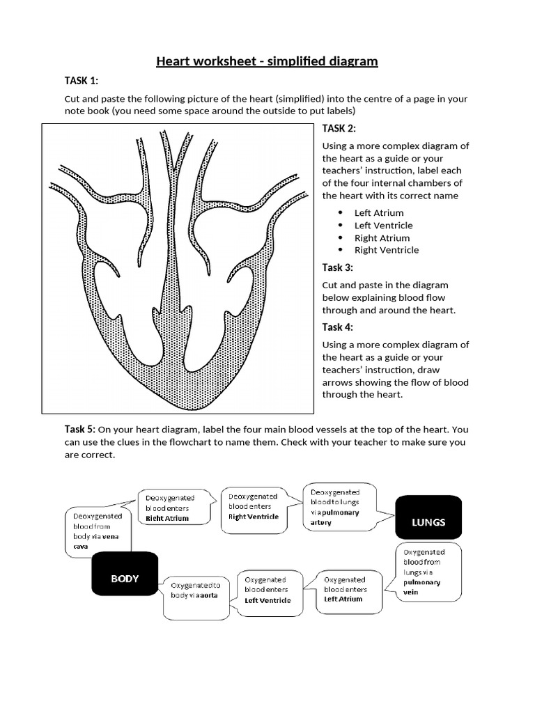 Heart Worksheet Simplified | PDF