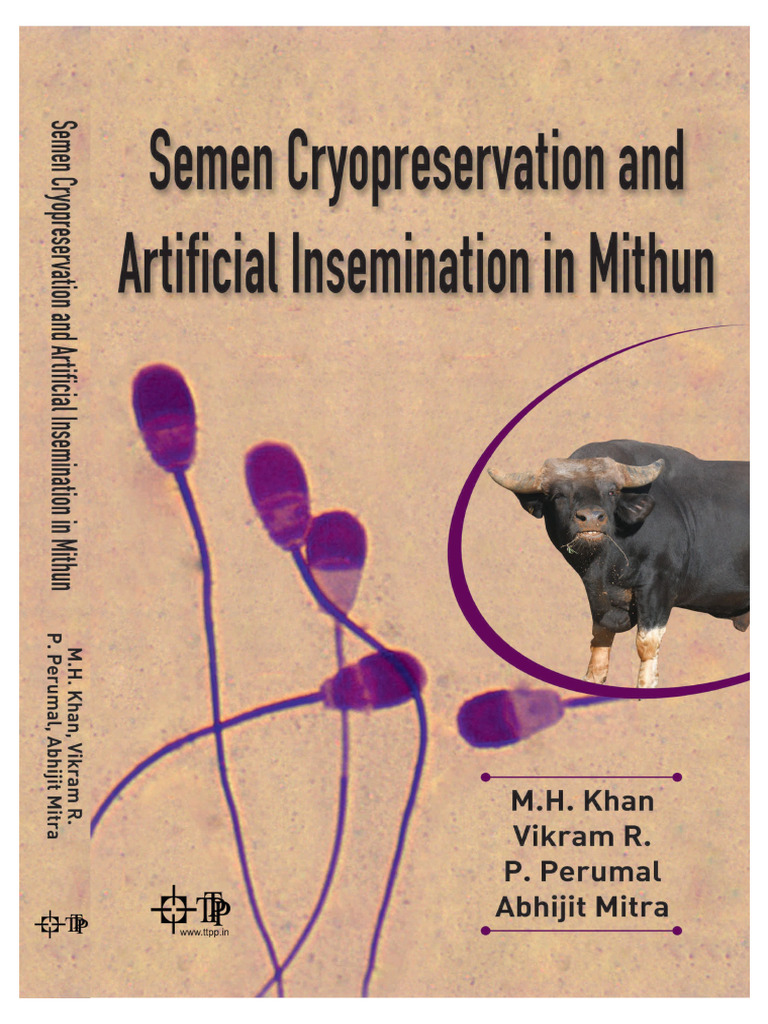 Semen Cryopreservation and Artificail Insemination of Mithun | PDF