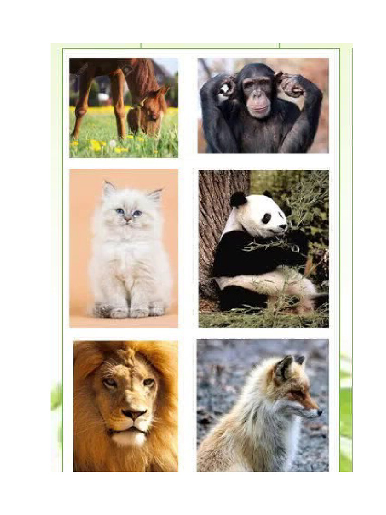 Características de Animales: Cubierta y Alimentación | PDF