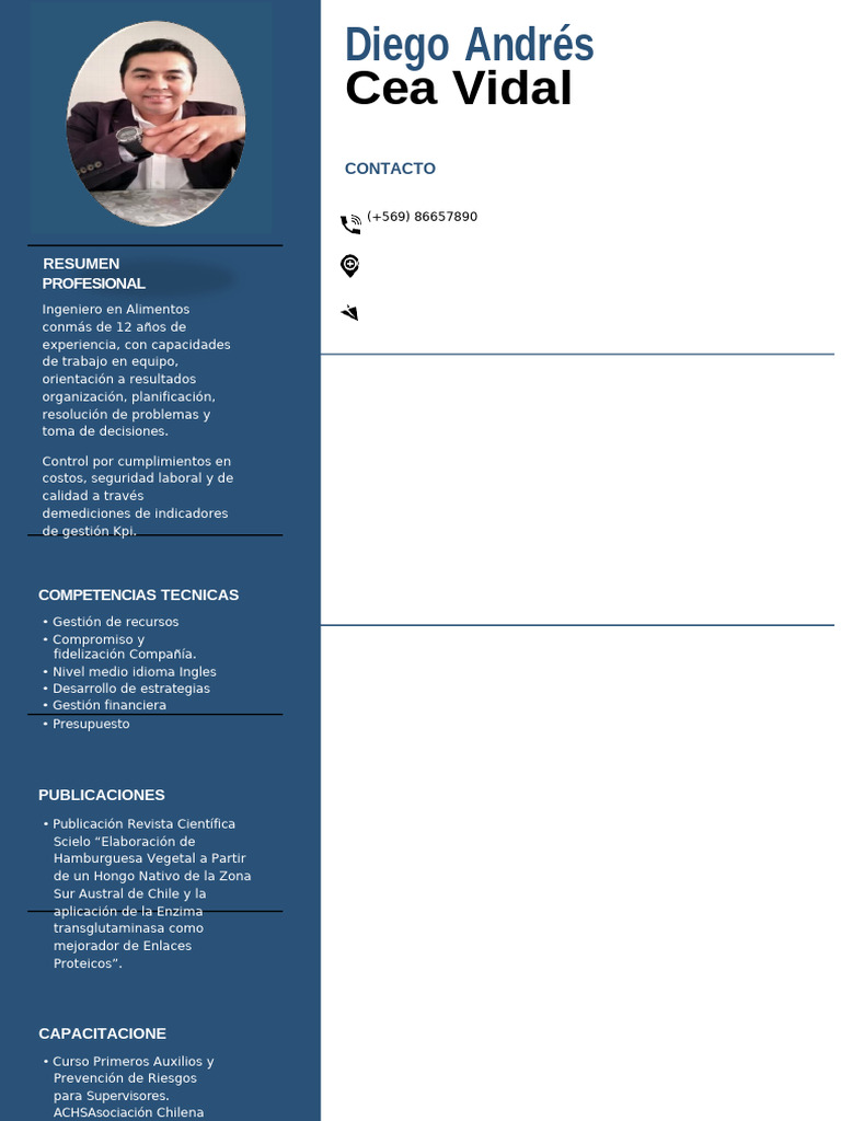 Perfil Profesional de Diego Cea | PDF | Chile | Indicador de rendimiento