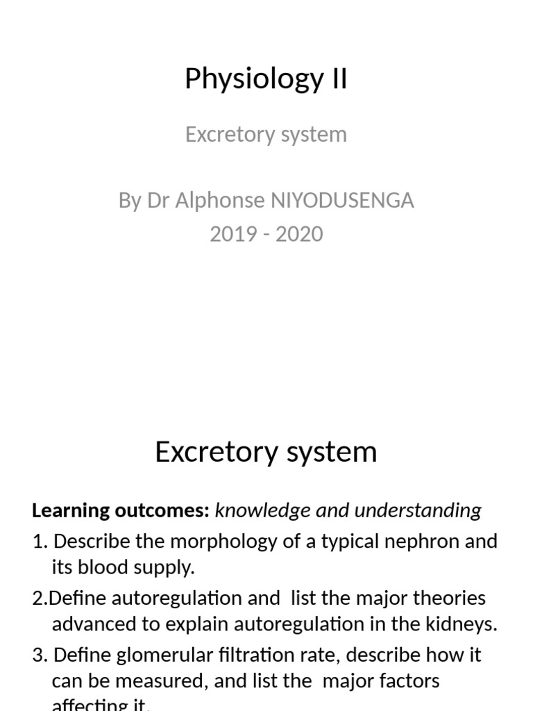 Physiology of The Excretory System Presentation Slides 2020 | PDF ...