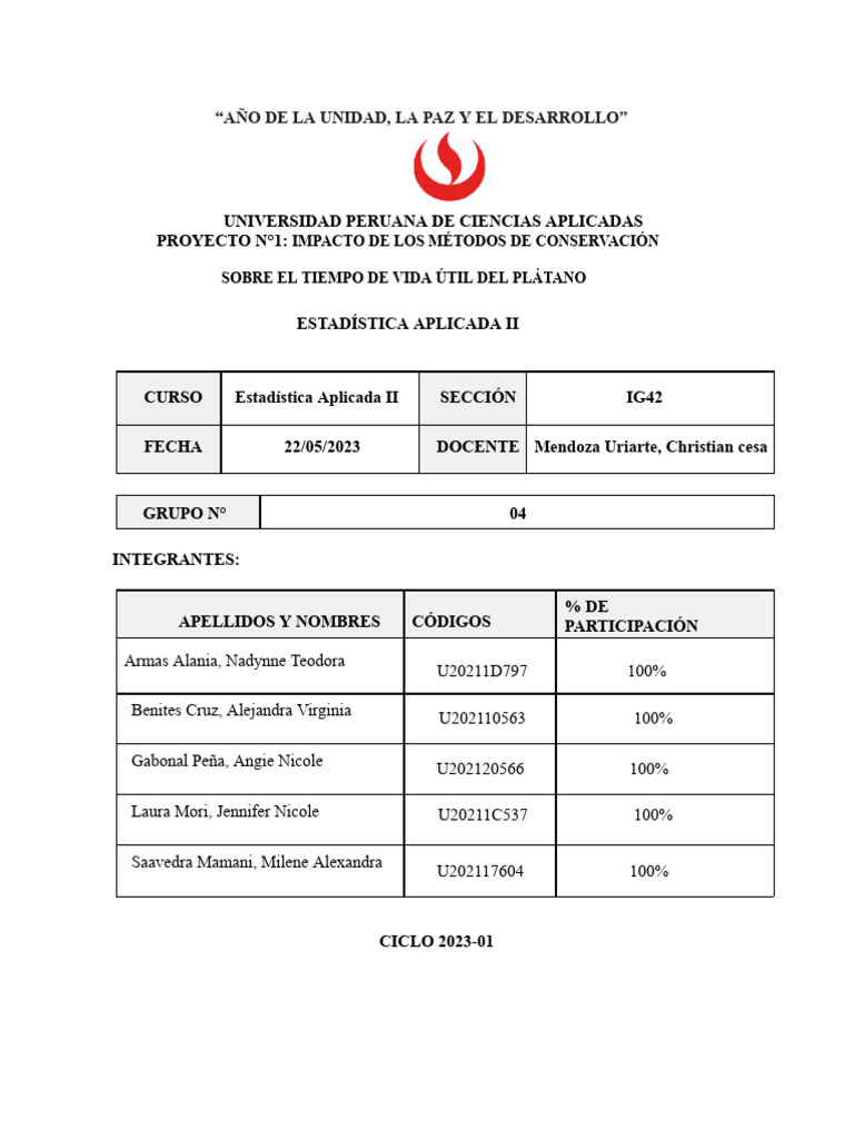 Proyecto 1 - Grupo 4 | PDF | Textiles | Análisis de variación