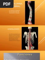 Analisis de Rocabado | PDF | Anatomía | Trastornos musculoesqueléticos