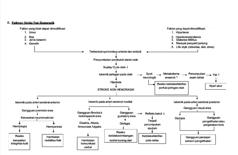 PDF e Pathway Stroke Non Hemoragik - Compress | PDF