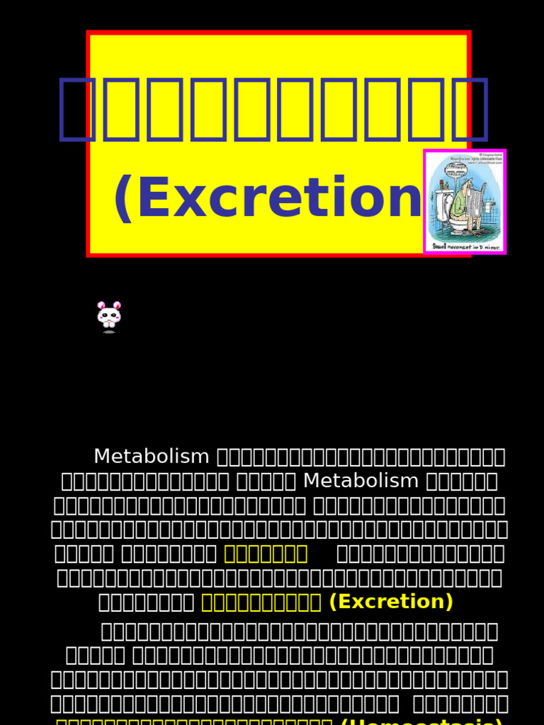Excretion | PDF