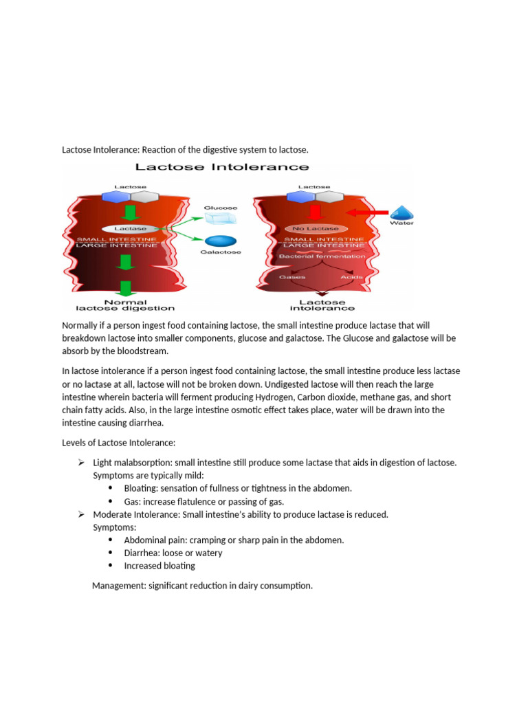 Lactose Intolerance SIBO and Whipple Disease | PDF | Gastrointestinal ...