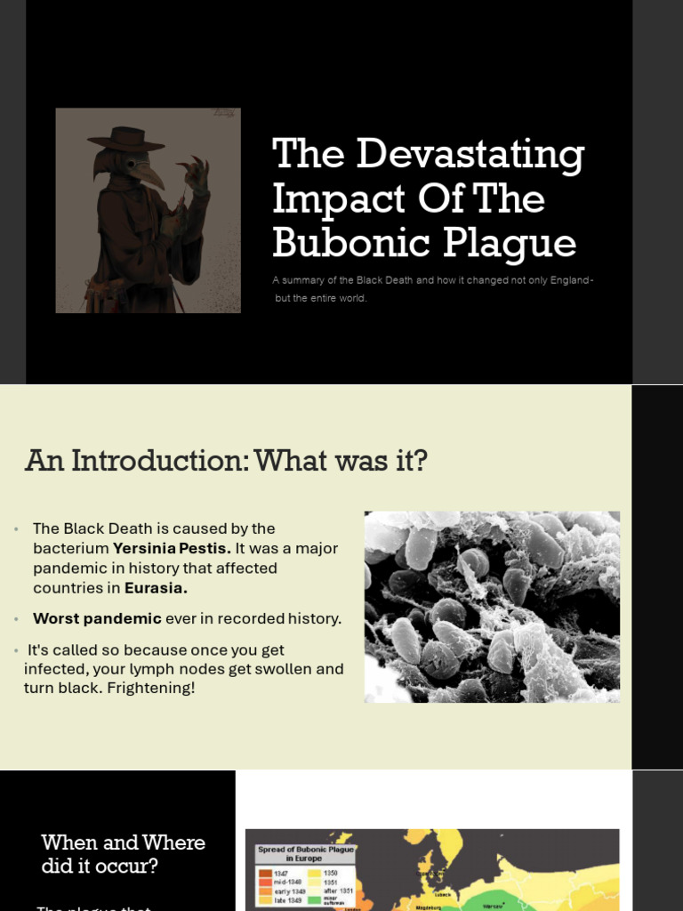The Bubonic Plague | PDF