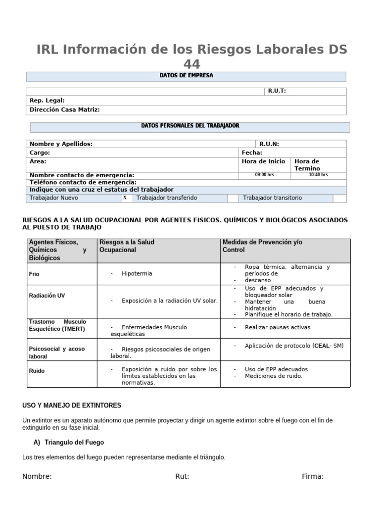 Información sobre Riesgos Laborales IRL | PDF | ruido