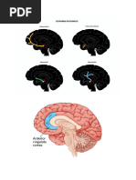 Patient-Scale POSAS-3.0 Generic-Scar English | PDF | Paresthesia | Medicine