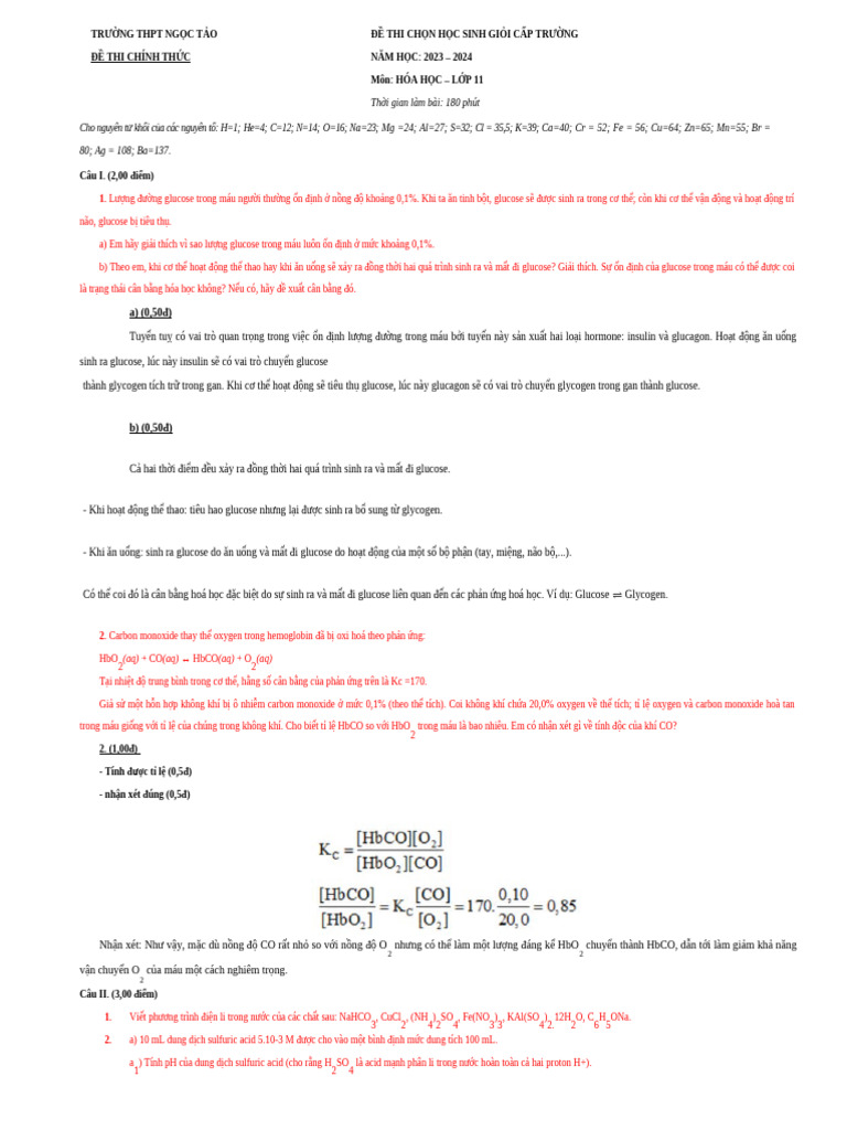 ĐA HSG 11 THUONGHOA 2324 | PDF