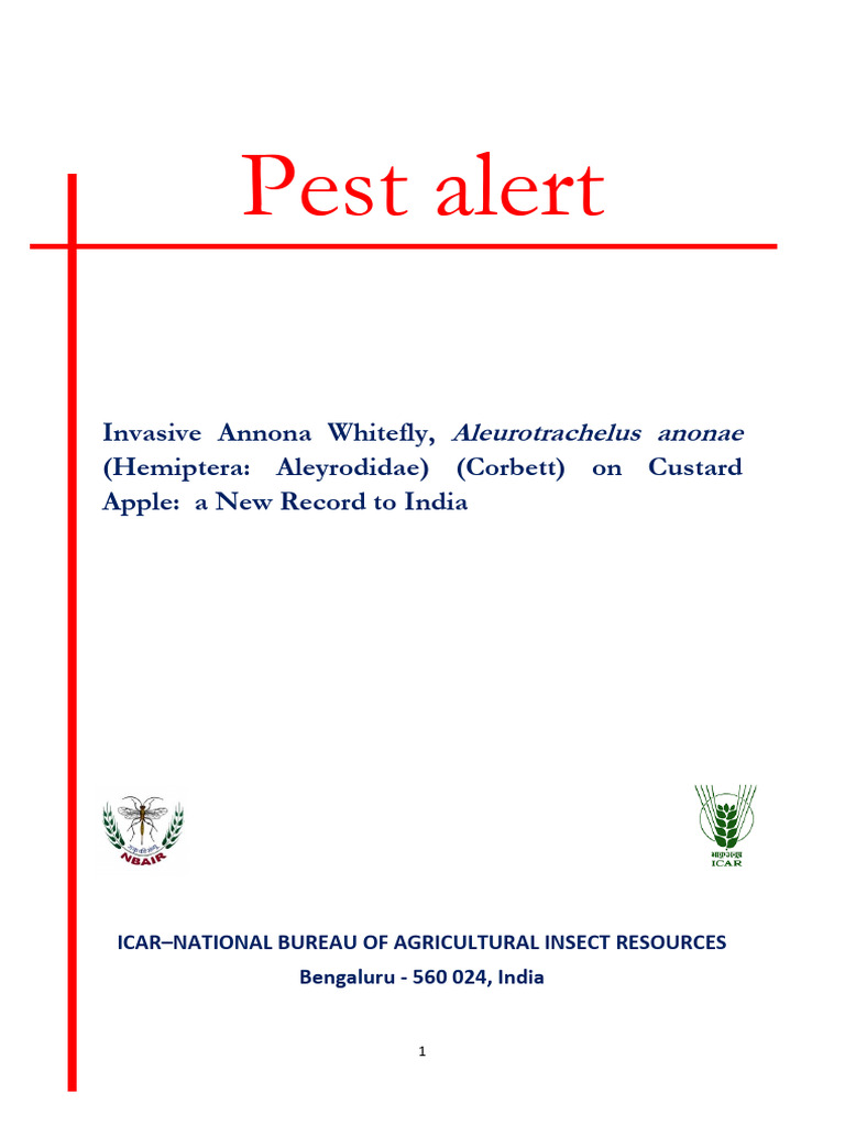 Revised Pest Alert October 2024 - 0 | PDF | Biological Pest Control ...