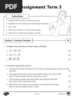 Grade8 Term 3 Project 2025 | PDF | Rectangle | Area