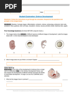 Graphic Organizer Protein Synthesis | PDF | Translation (Biology) | Rna