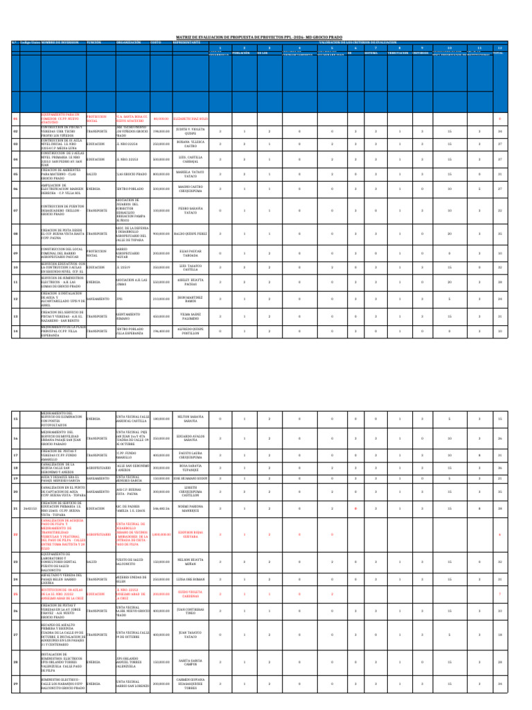 Matriz de Proyectos Final - 2025 | PDF