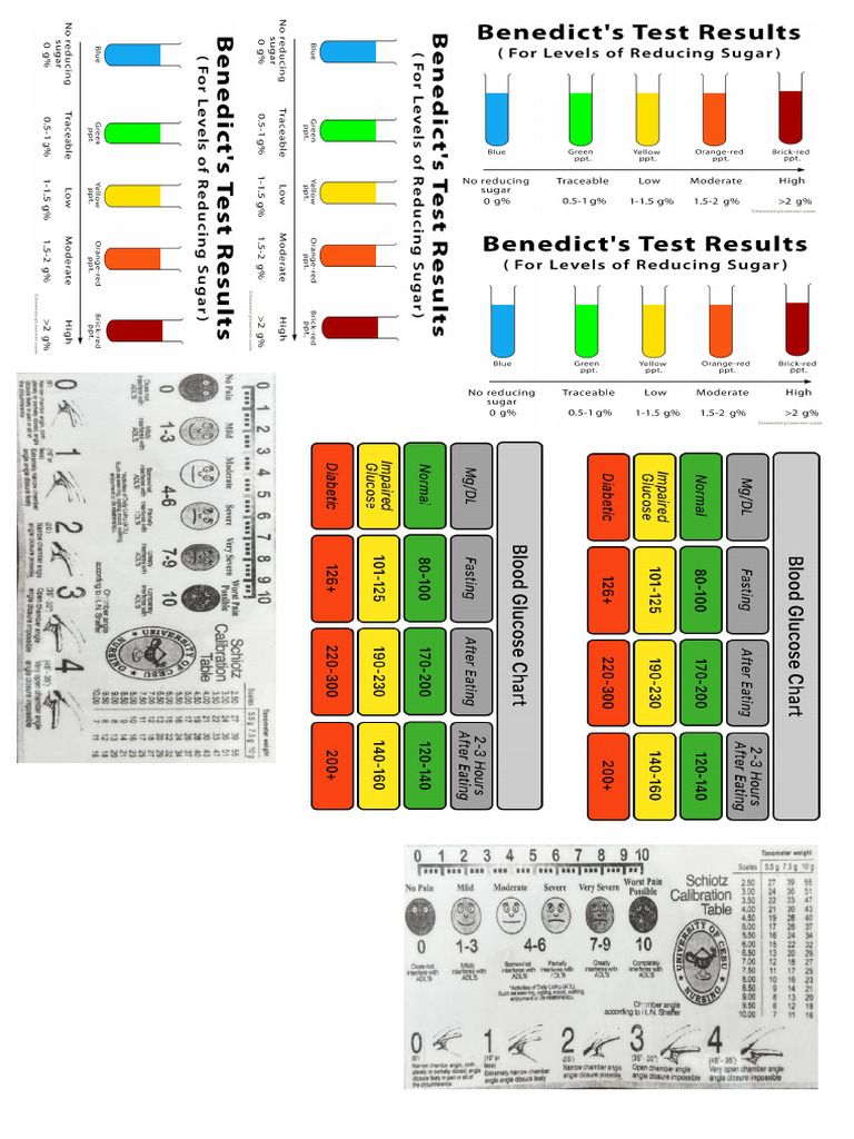 Charts To Be Laminated 1 | PDF