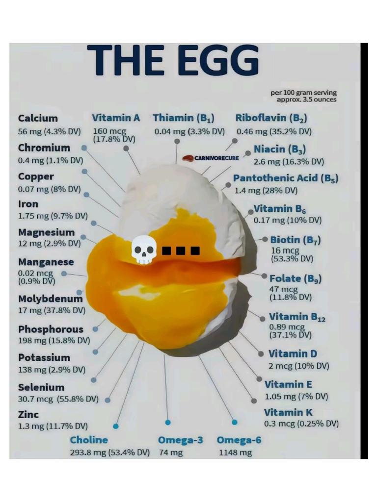 Egg | PDF