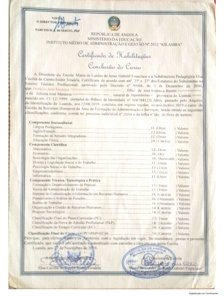 Meu Certificado | PDF