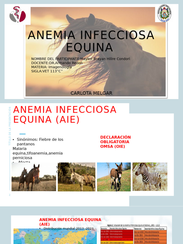 Anemia Infecciosa Equina | PDF | Virus | Anemia