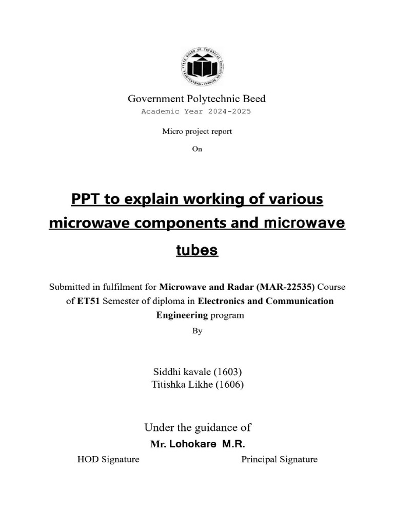 EDE main report | PDF