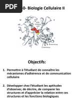Types de jonctions cellulaires expliqués | PDF | Biologie cellulaire ...