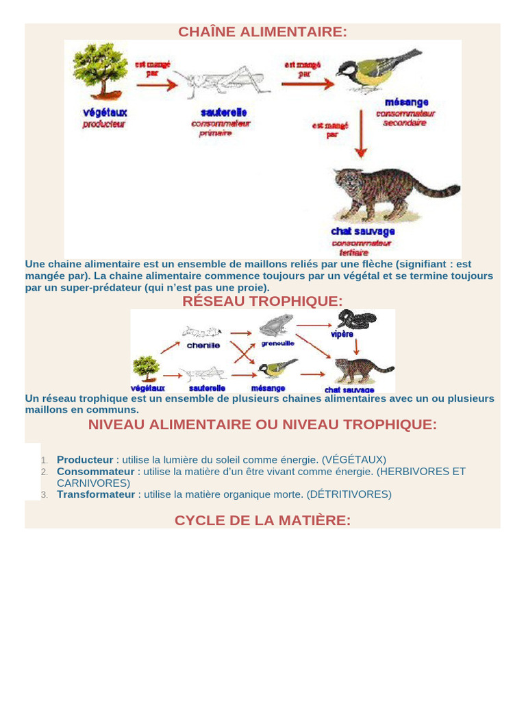 Comprendre la chaîne alimentaire | PDF