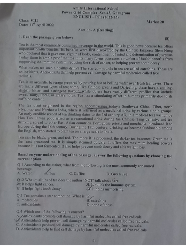 English Papers Class 8 | PDF