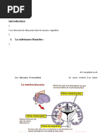 Anatomie du Muscle Sterno-Cléido-Mastoïdien | PDF | Cou | Artère ...