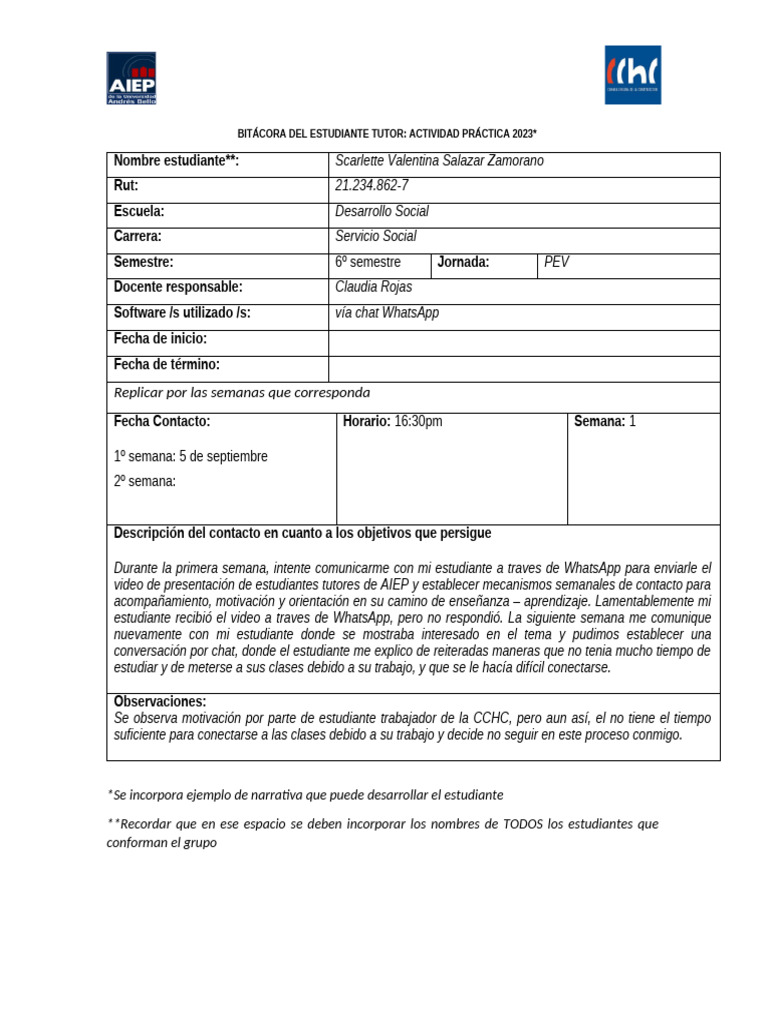 Instrumento Bitacora y Documento Sintesis - 2023 | PDF | Enseñando ...