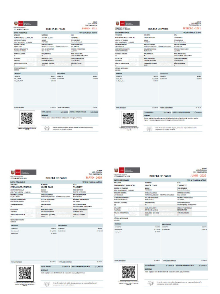 Boletas de Pago | PDF