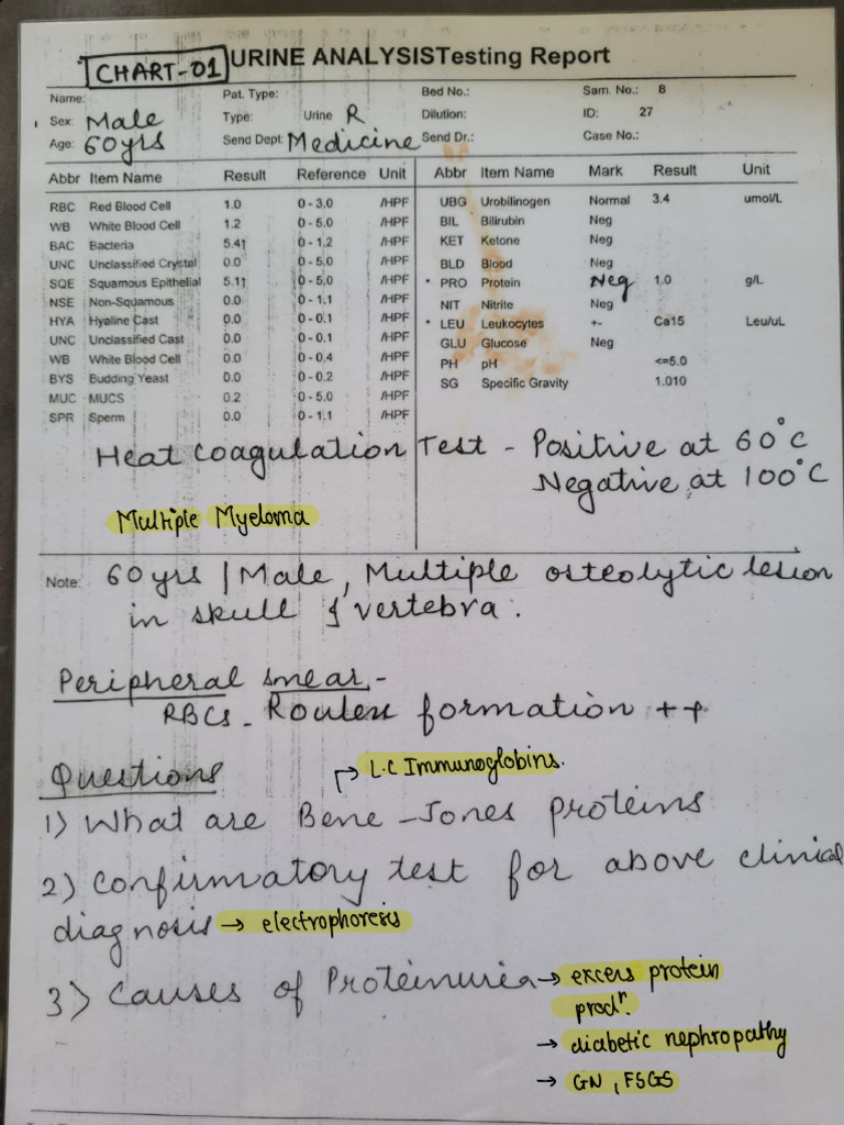 Urine Report 2 | PDF