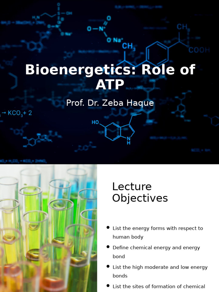 Bioenergetics Role of ATP | PDF | Electron Transport Chain | Redox