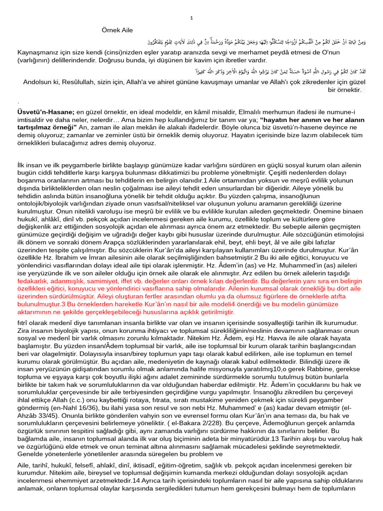Örnek Aile | PDF