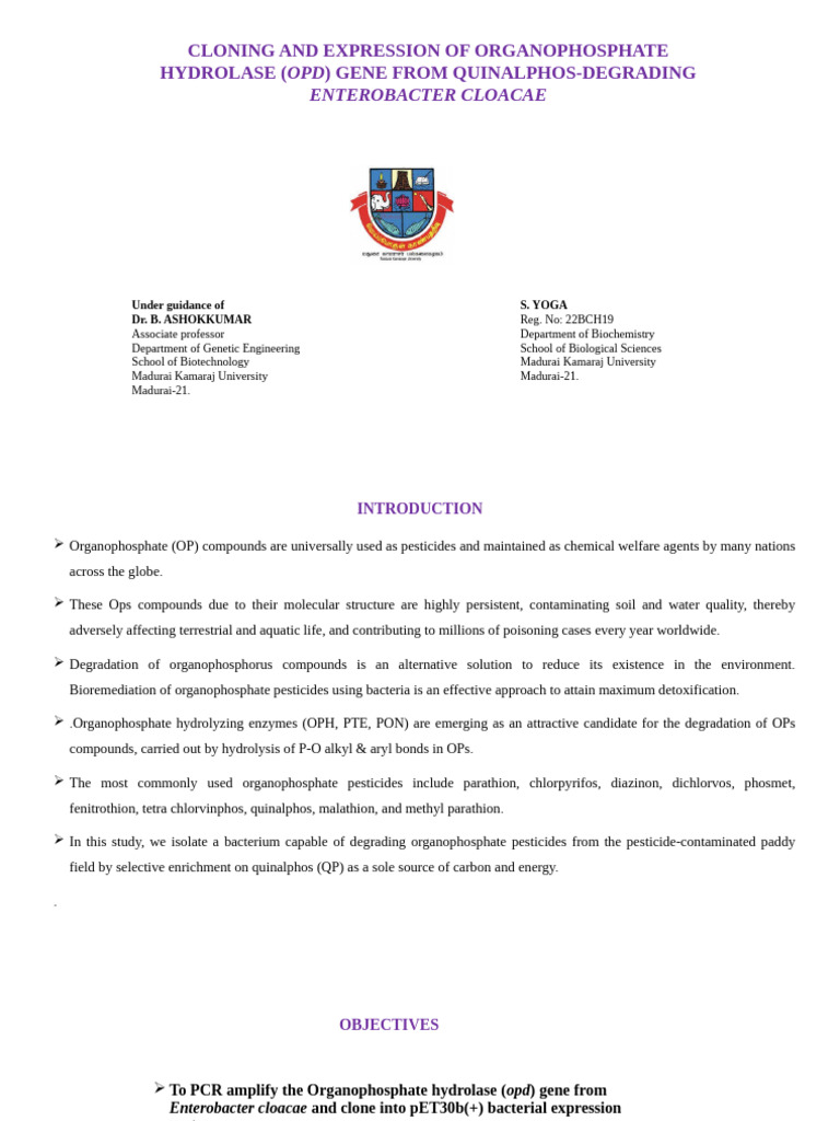 YOGA Final Viva Ppt Opd | PDF | Molecular Cloning | Base Pair