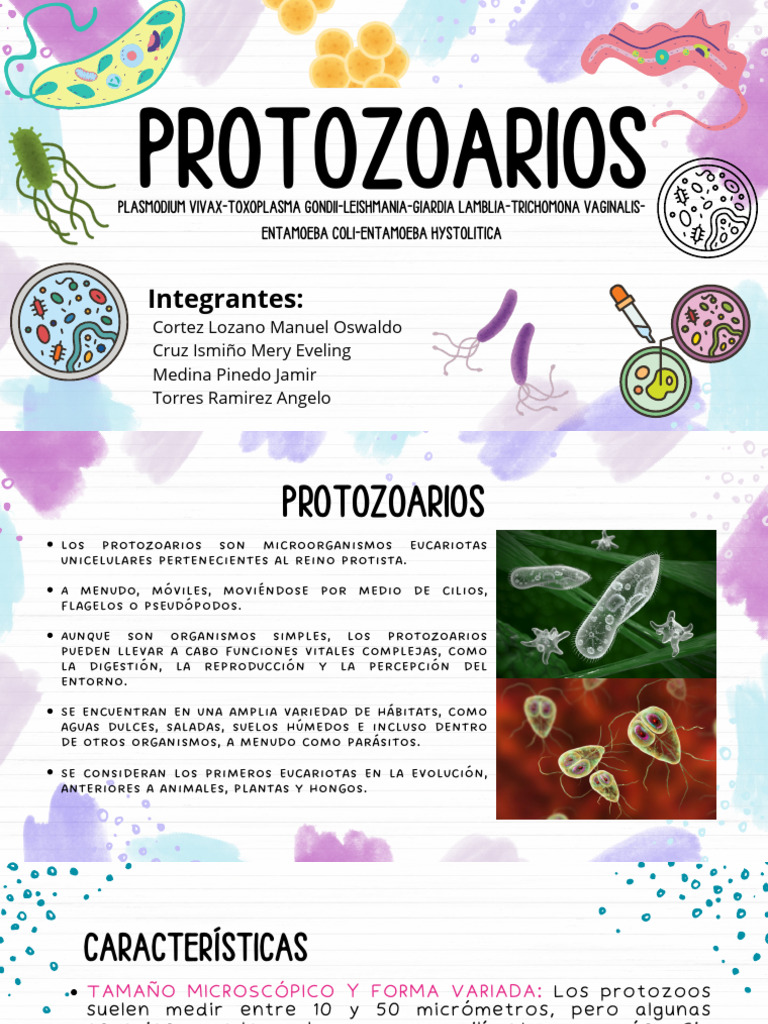 Características de Protozoarios Parásitos | PDF | Biología