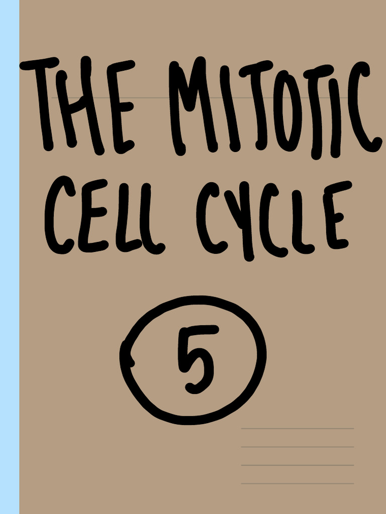 The Mitotic Cell Cycle | PDF