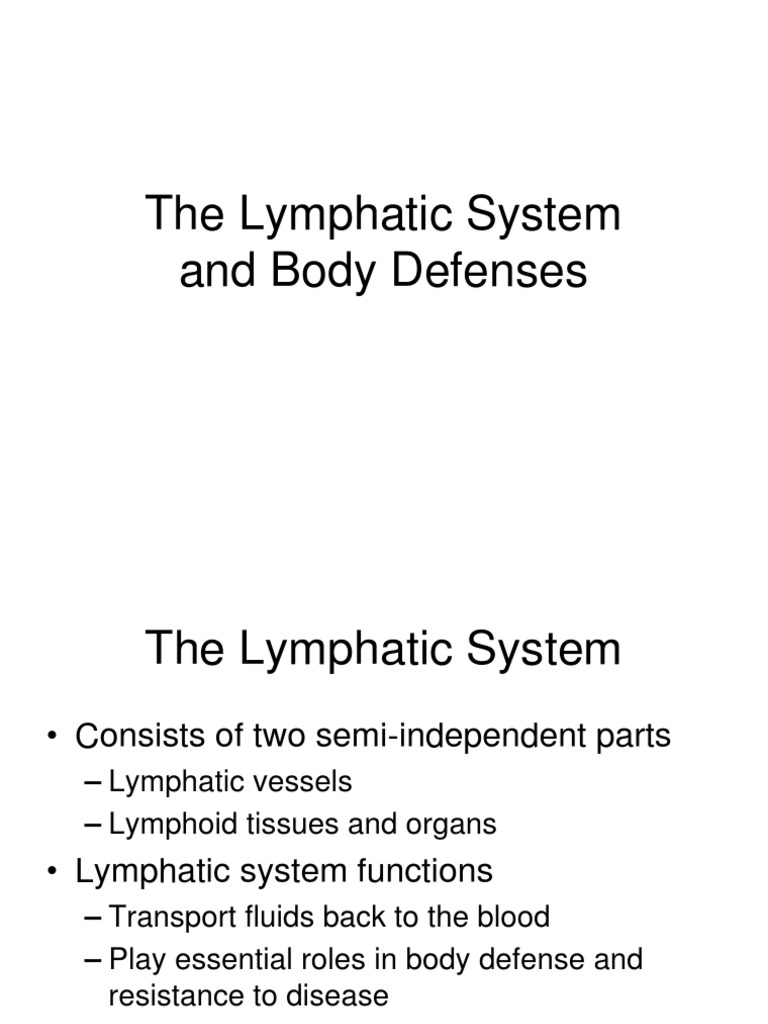 The Lymphatic System and Body Defenses | PDF | Lymphatic System | Antibody