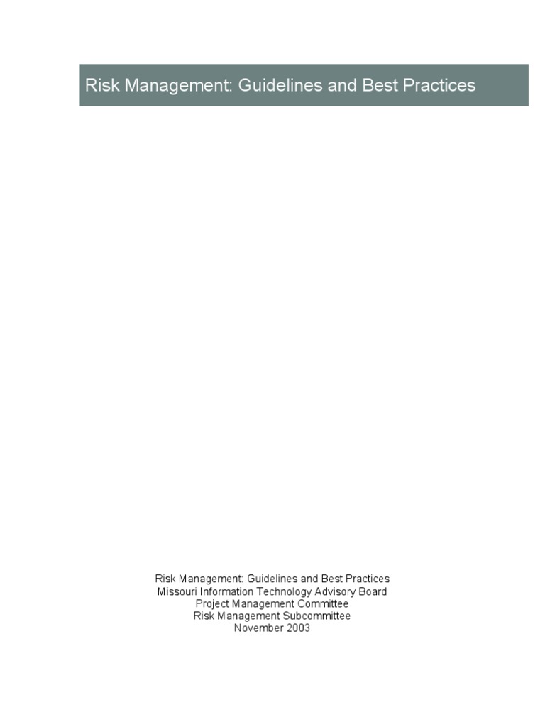 Risk Manual | PDF | Risk Management | Risk