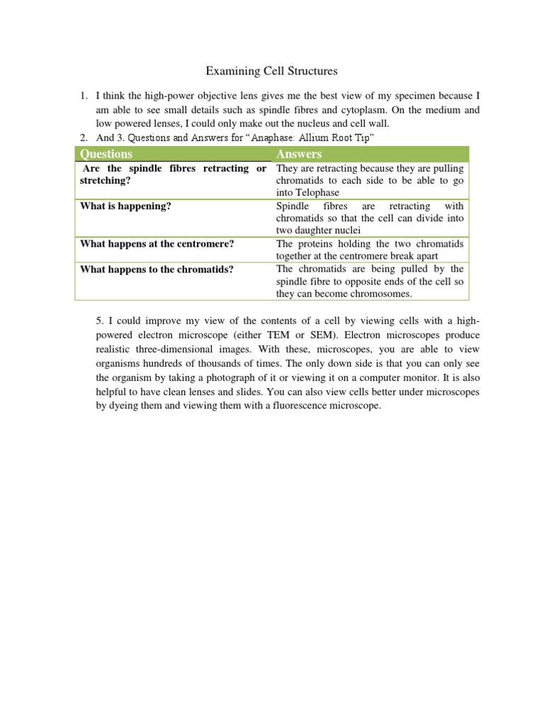 Cell Structure Analysis and Microscopy Techniques | PDF