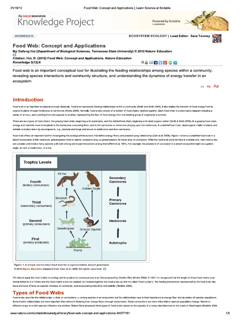 Food Webs | PDF