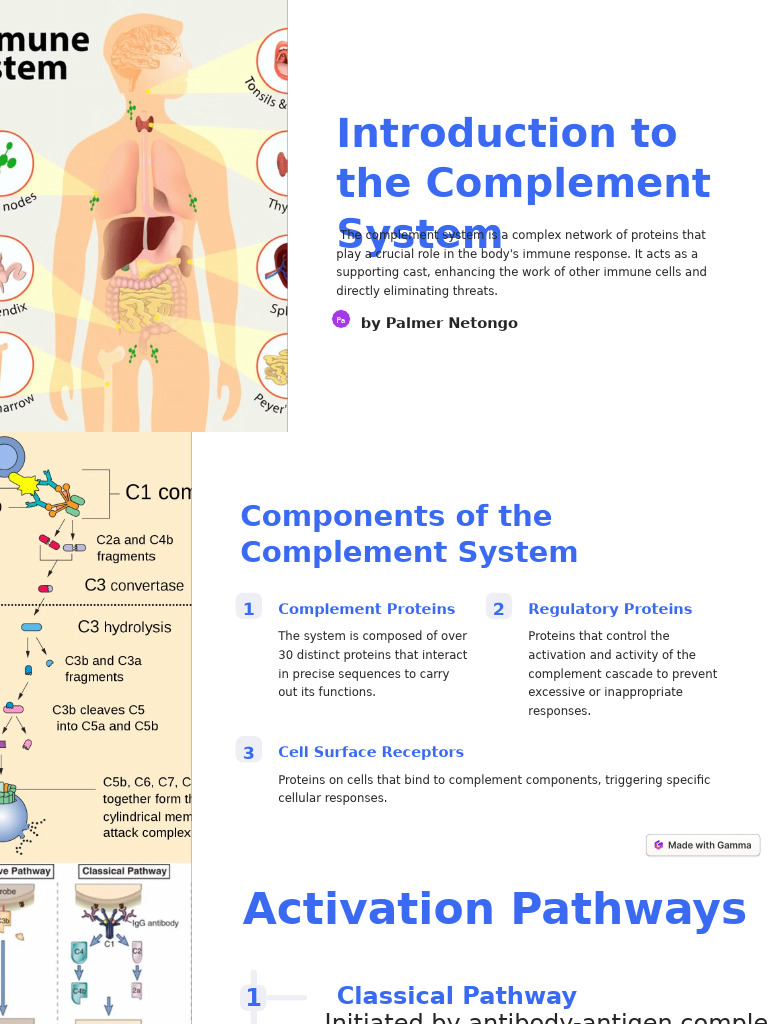 BCH 312 Introduction to Immunology Lecture 10 Complement System | PDF | Complement System ...