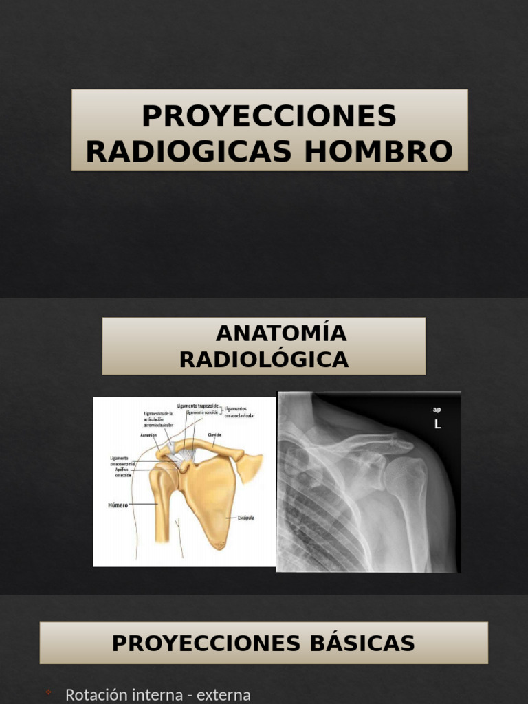 PROYECCIONES RADIOGRÁFICAS DE HOMBRO | PDF