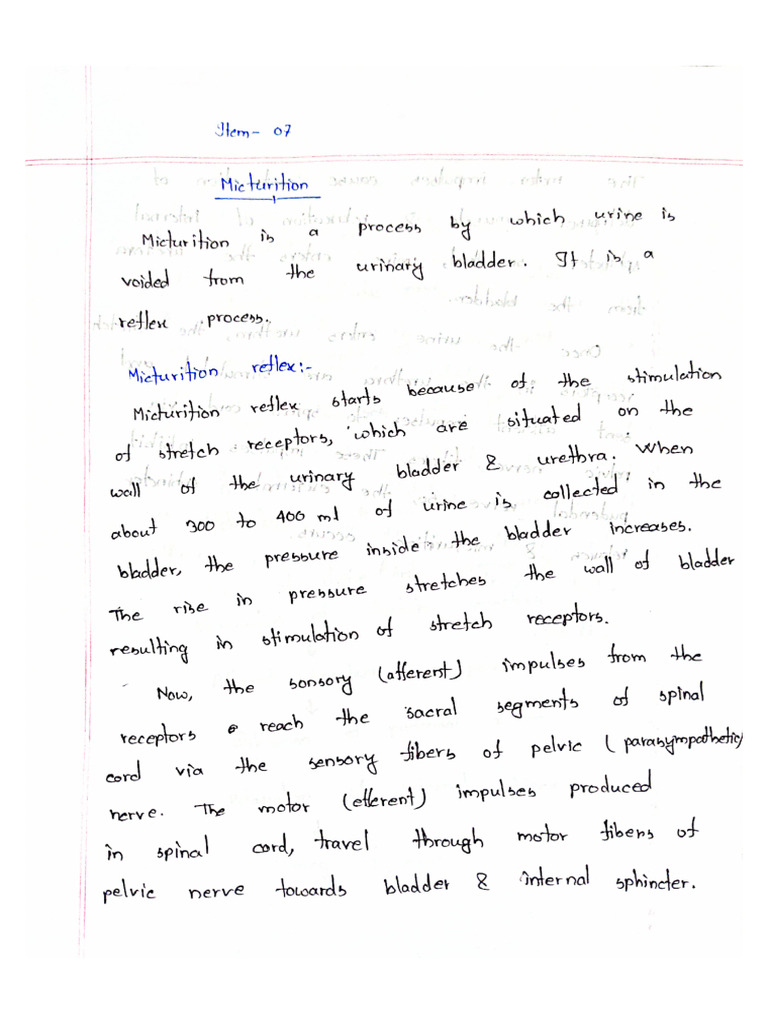 Micturition Reflex and Abnormalities of Micturition Item 07 | PDF