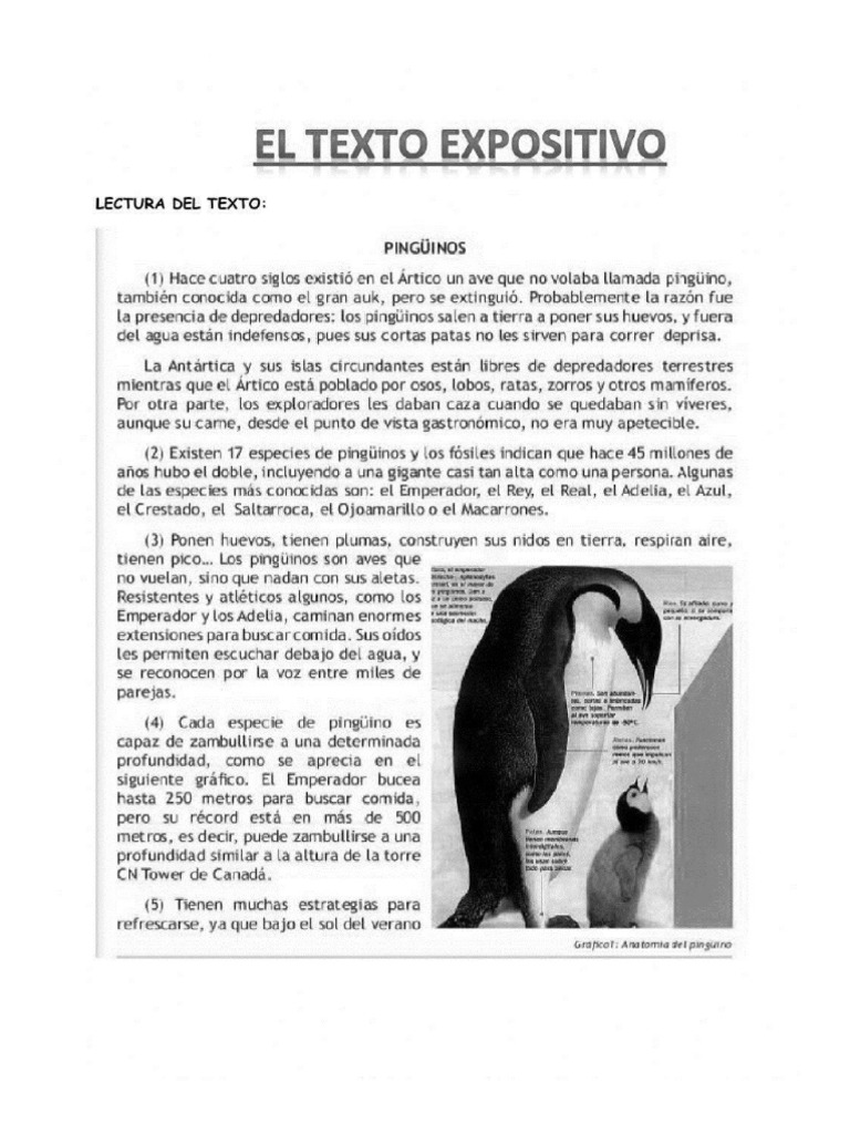 Textos Expositivos II | PDF | Luna | Dinosaurios